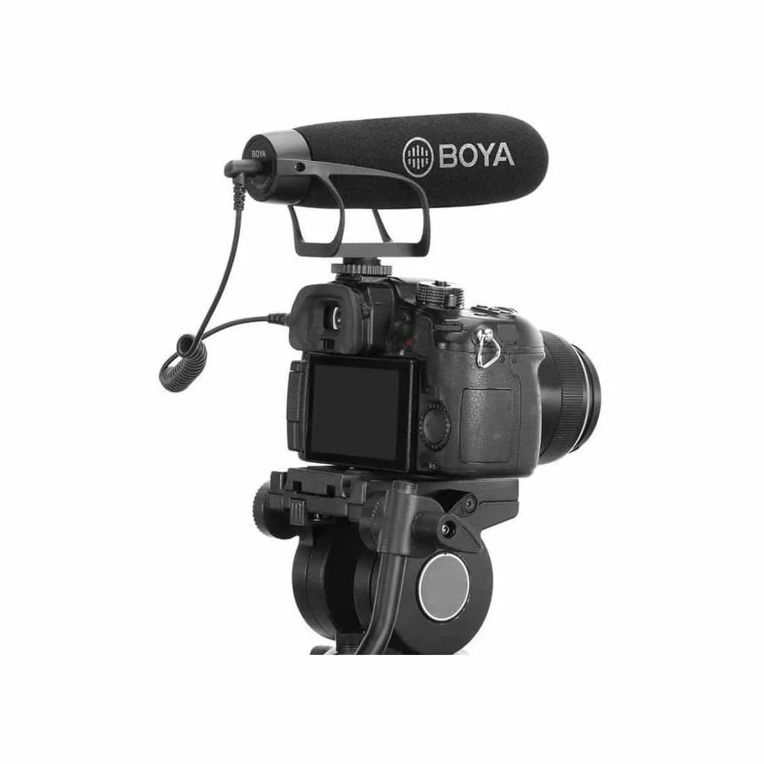 BOYA BY-BM2021 Wired On-camera Shotgun Microphone (For Smartphone And ...