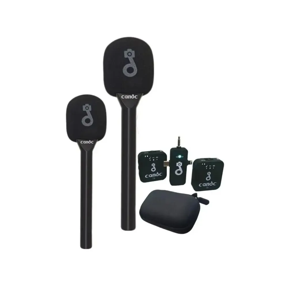 Candc Dual Mic Interview Microphone, Price In Lebanon
